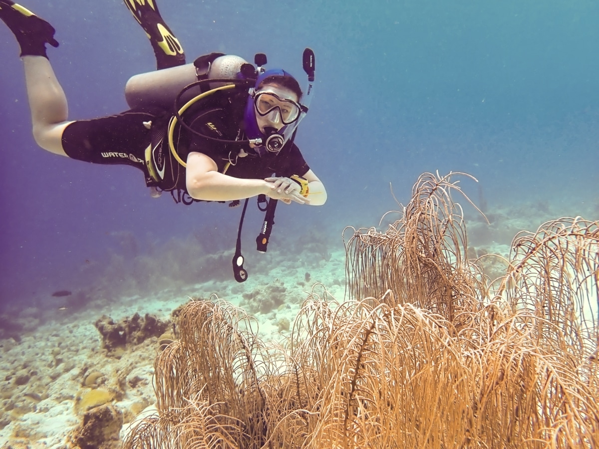 Explore Scuba Diving in Curaçao