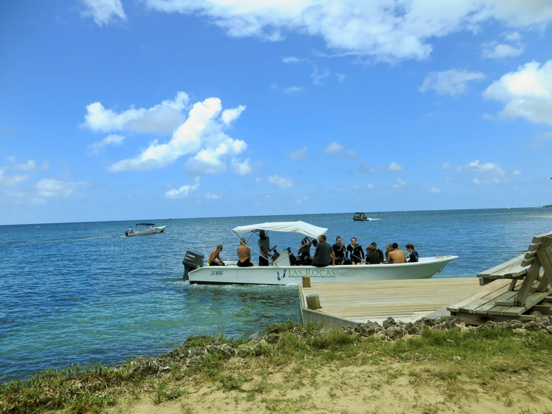 Scuba Diving in Roatan: Getting Certified and Dive Guide