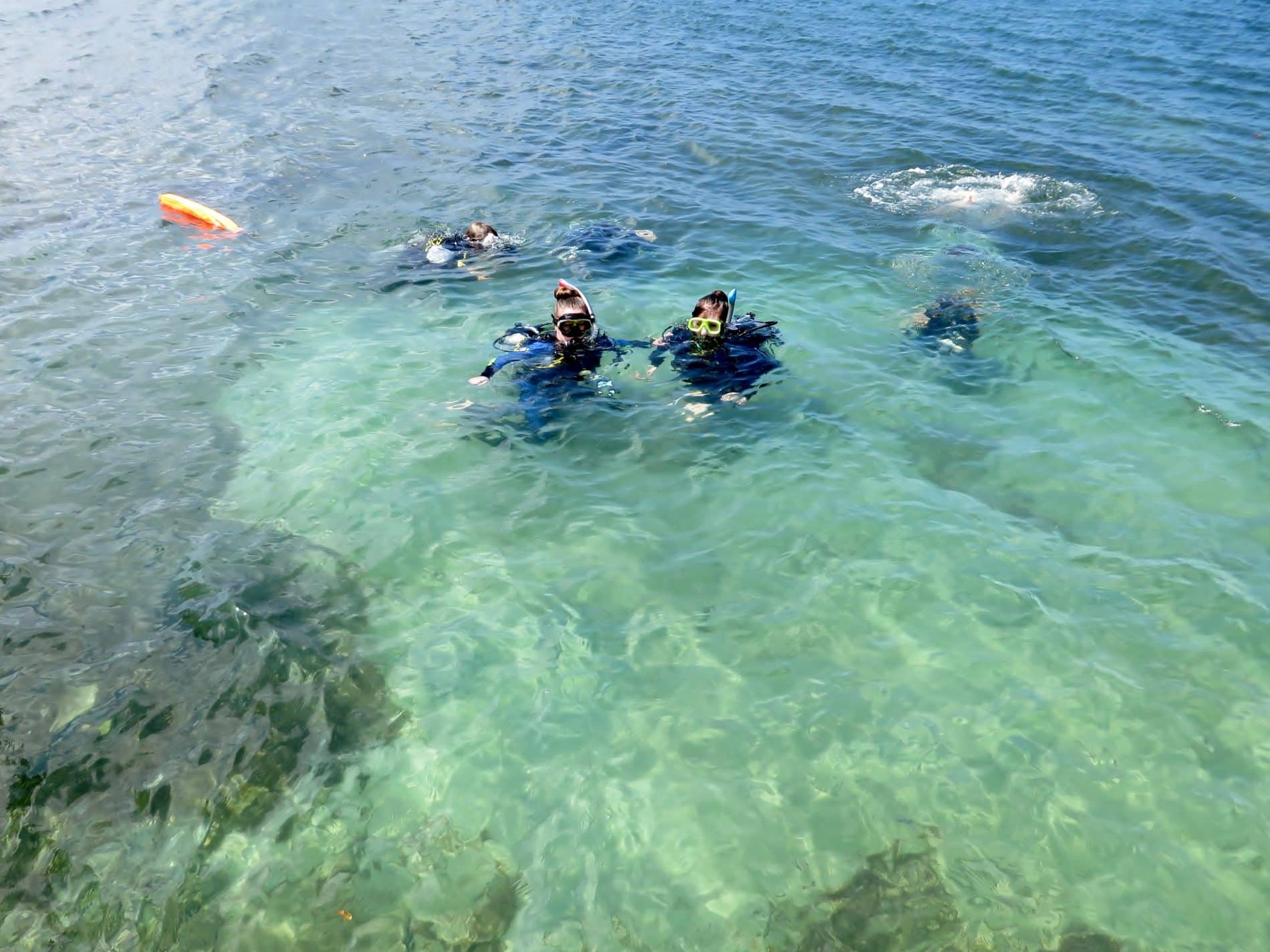 Scuba Diving in Roatan: Getting Certified and Dive Guide