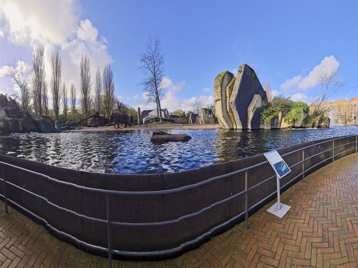 Visiting Artis Royal Zoo Amsterdam: Complete Family Guide